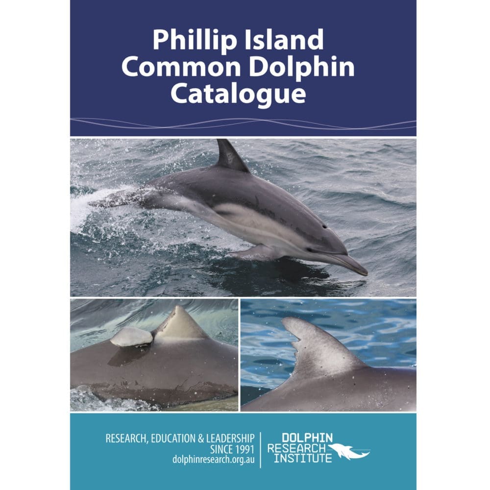 Port Phillip Common Dolphin Project | Dolphin Research
