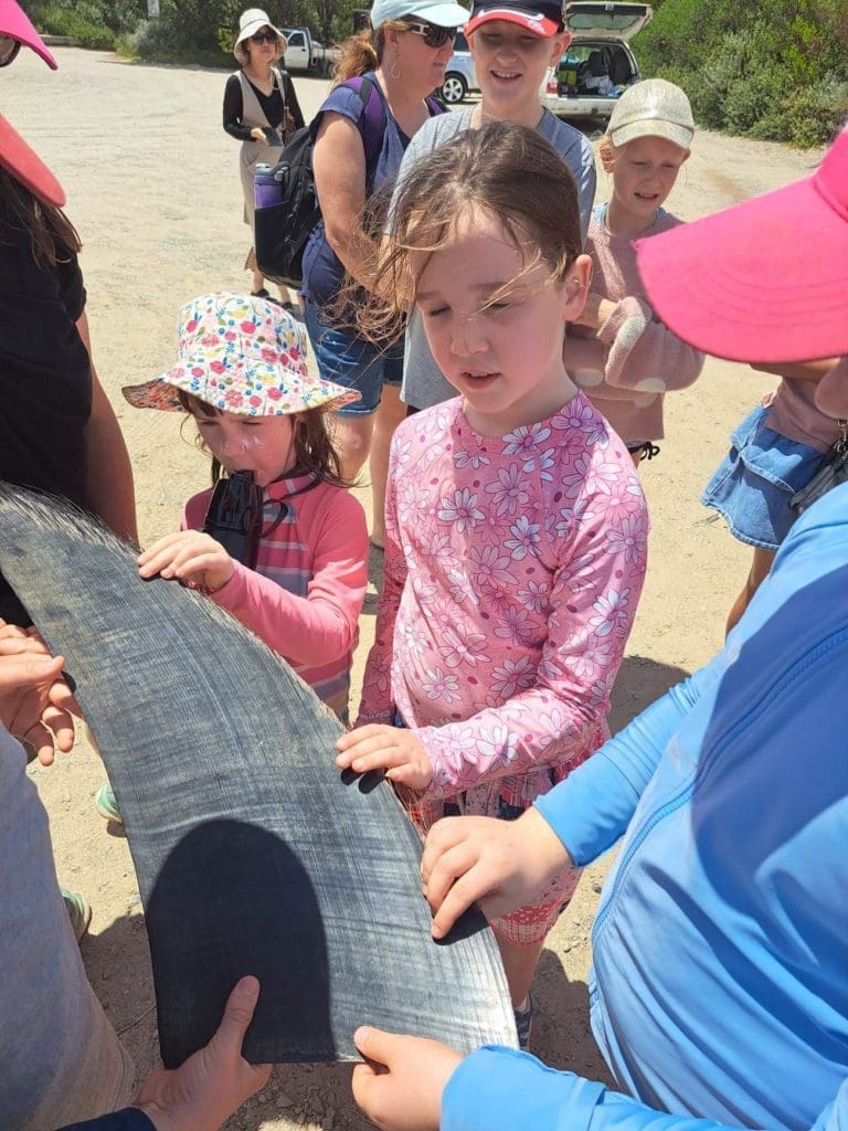 SCHOOL HOLIDAY ROCKPOOLING FUN! | Dolphin Research