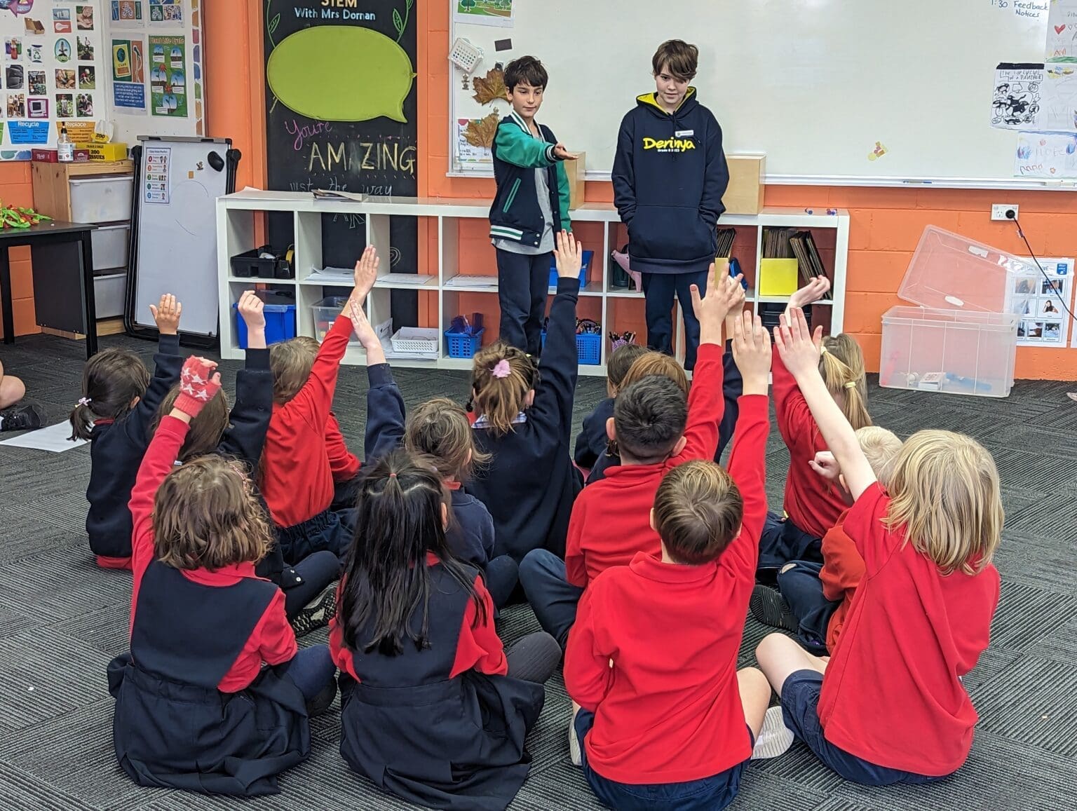 MELBOURNE PEER TEACHING WORKSHOP FUN! | Dolphin Research