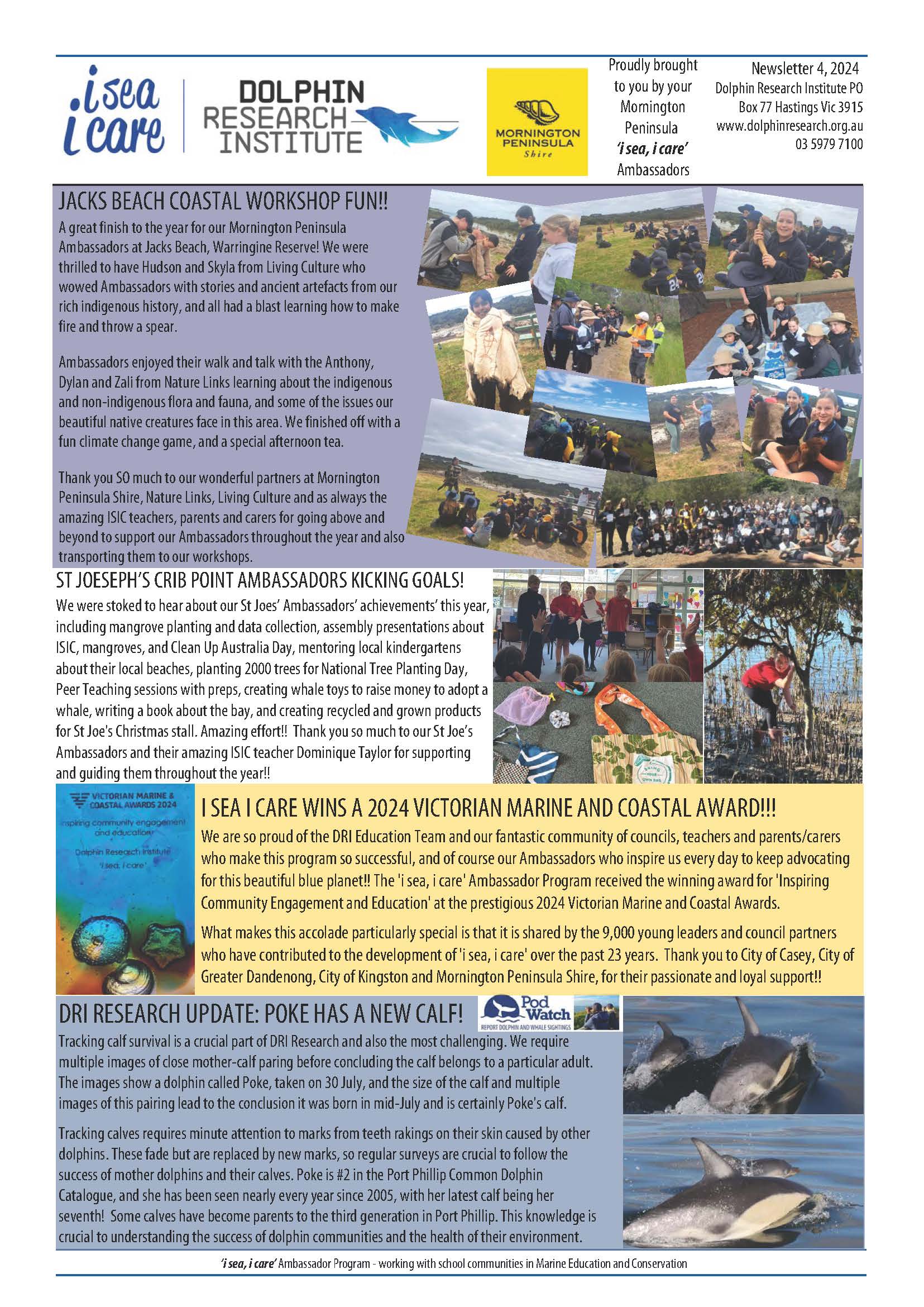 MORNINGTON PENINSULA ISIC NEWSLETTER TERM 4 2024 | Dolphin Research